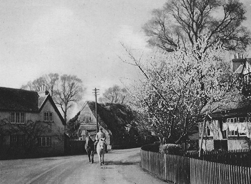 TRING: History